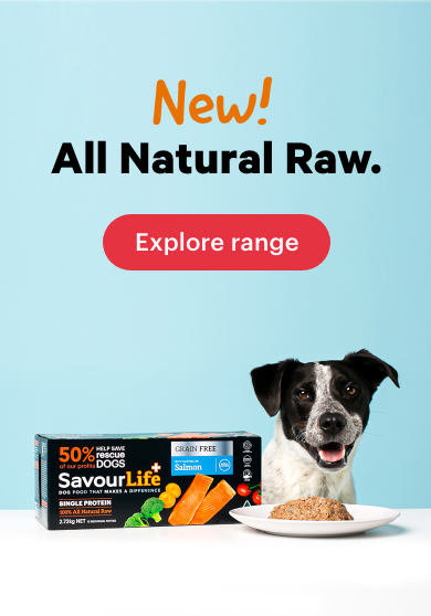 SavourLife - Dog Food that Makes a Difference