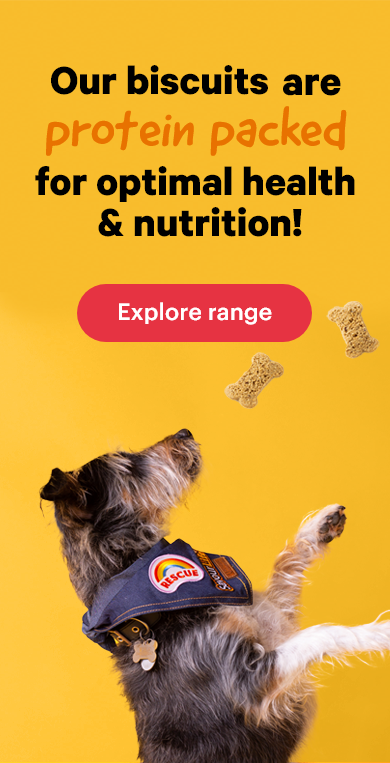 SavourLife - Dog Food that Makes a Difference