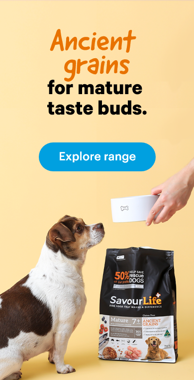 SavourLife - Dog Food that Makes a Difference