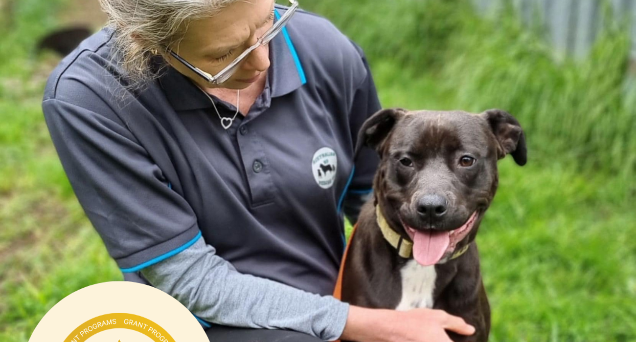 Australian K9 Rescue granted new wheels to save lives!